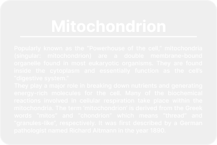 Animal Cell-Augmented Reality MeyRAR | Devpost