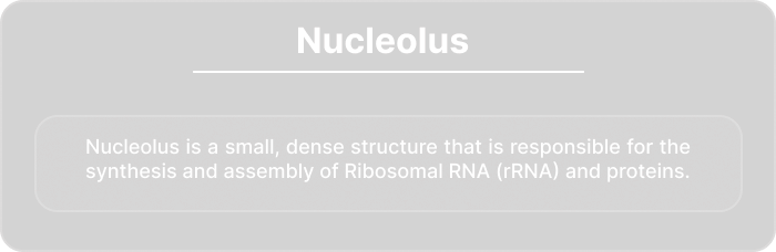 Animal Cell-Augmented Reality MeyRAR | Devpost