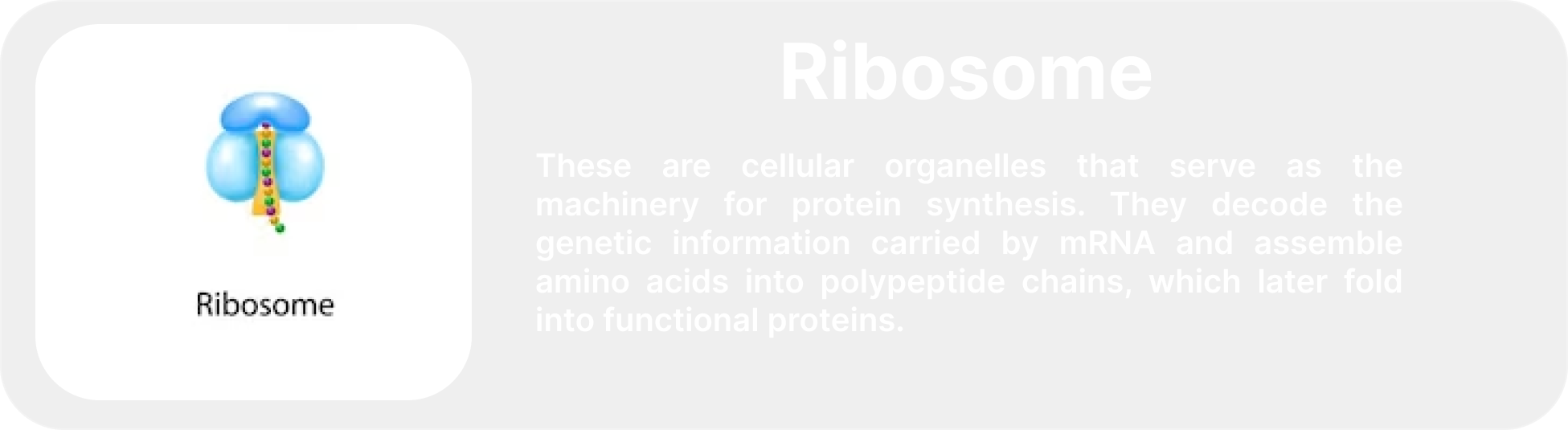 Animal Cell-Augmented Reality MeyRAR | Devpost