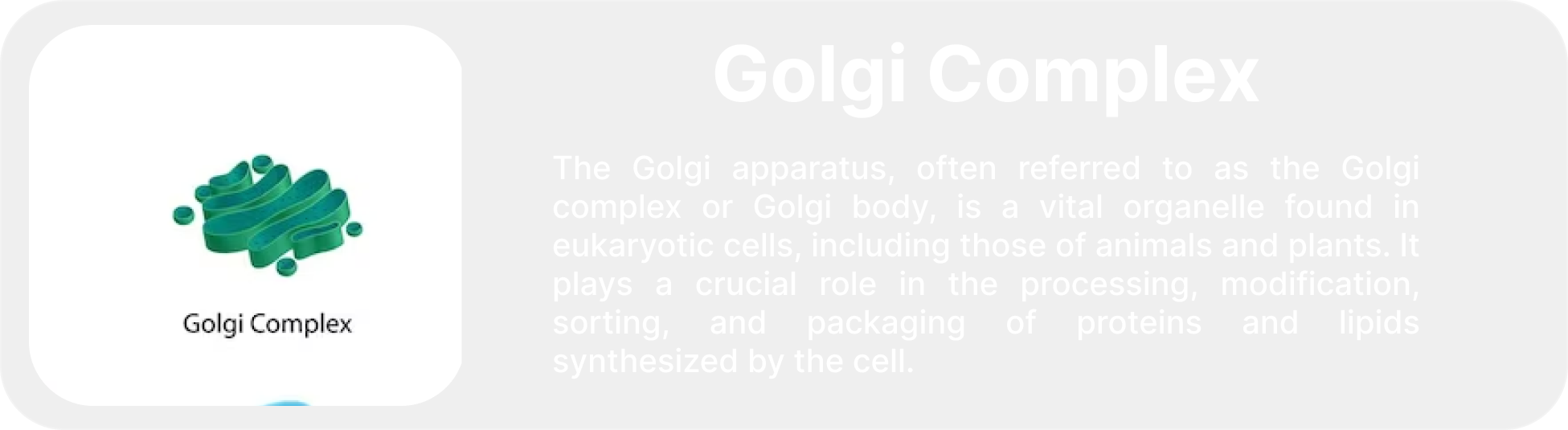 Animal Cell-Augmented Reality MeyRAR | Devpost