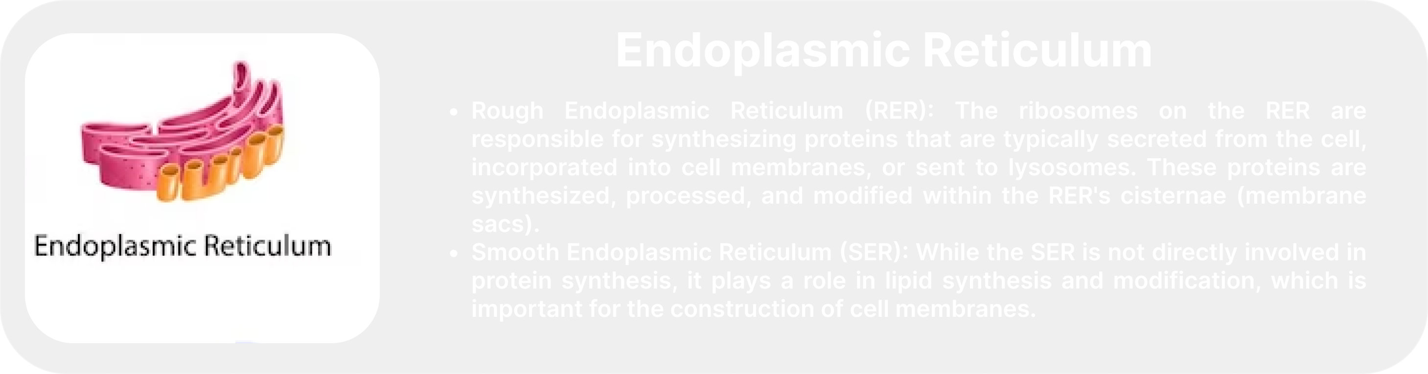 Animal Cell-Augmented Reality MeyRAR | Devpost
