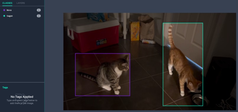 CV Stands for Cat Vision | Devpost