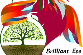 BRILLIANT ECO INTERNATIONAL | Devpost