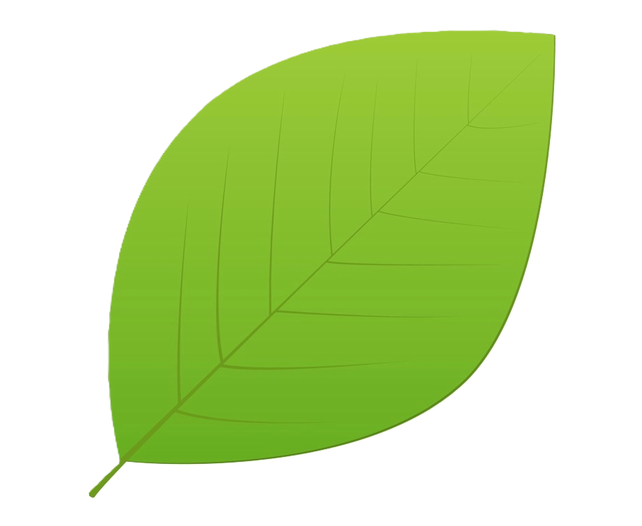 Mental Health | Devpost