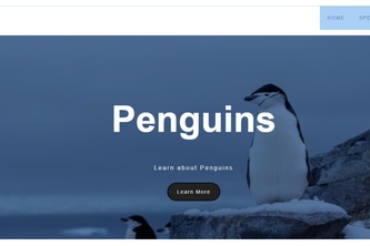 Penguins | Devpost