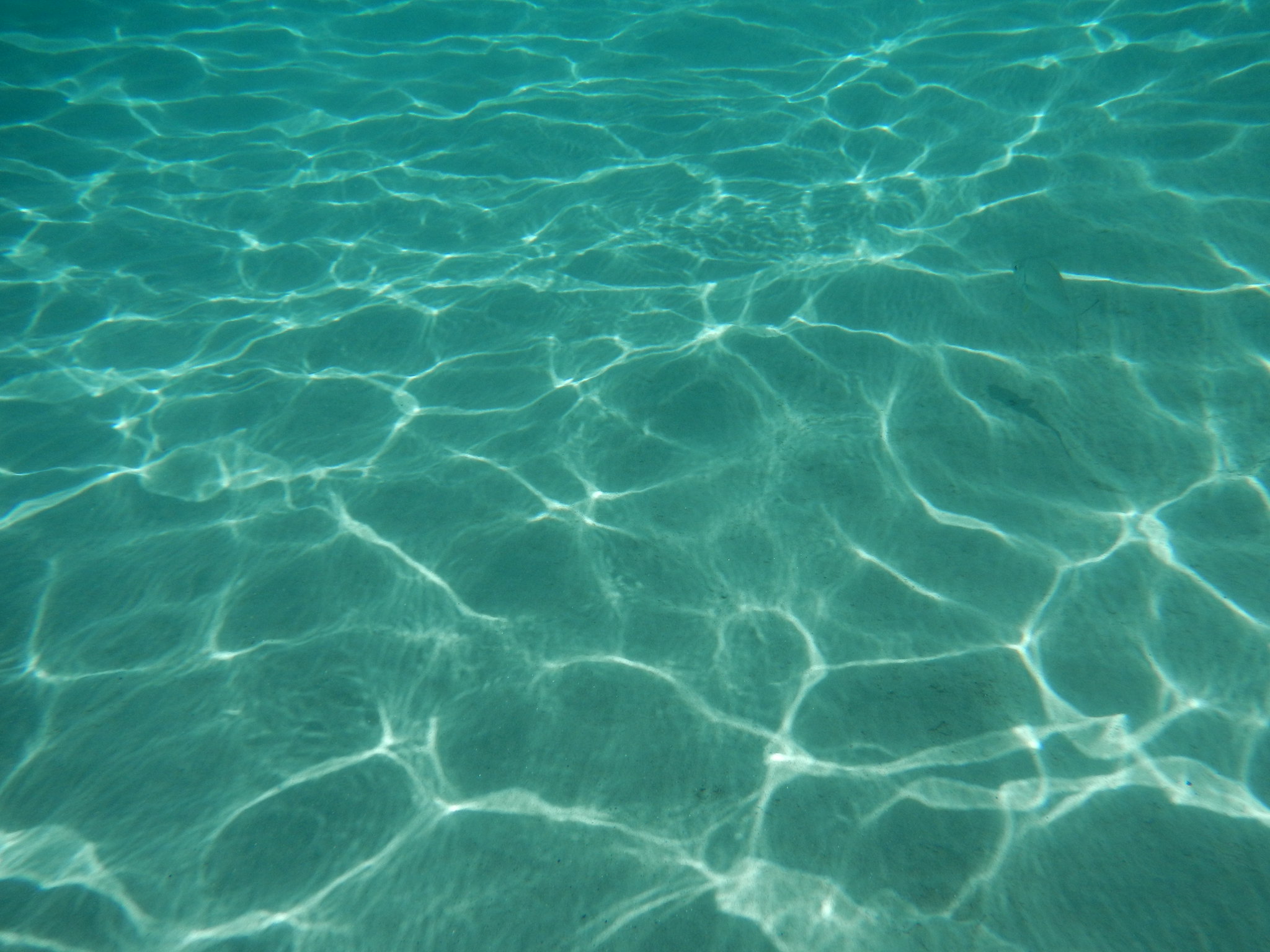 Electric fresh water reader | Devpost