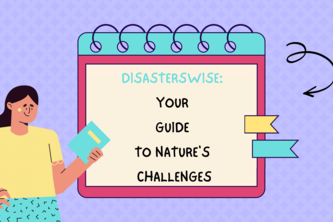 DisasterWise: Your Guide to Nature's Challenges | Devpost
