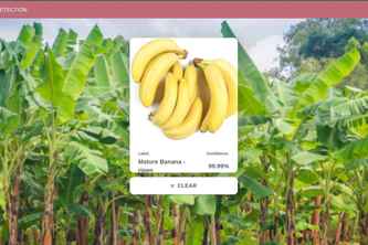 Automated_banana_farming | Devpost