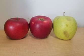 Bad Apples | Devpost