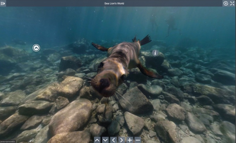 Wildlife Learning for Kids | Devpost