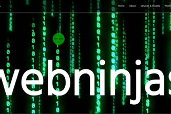 Web Ninjas | Devpost