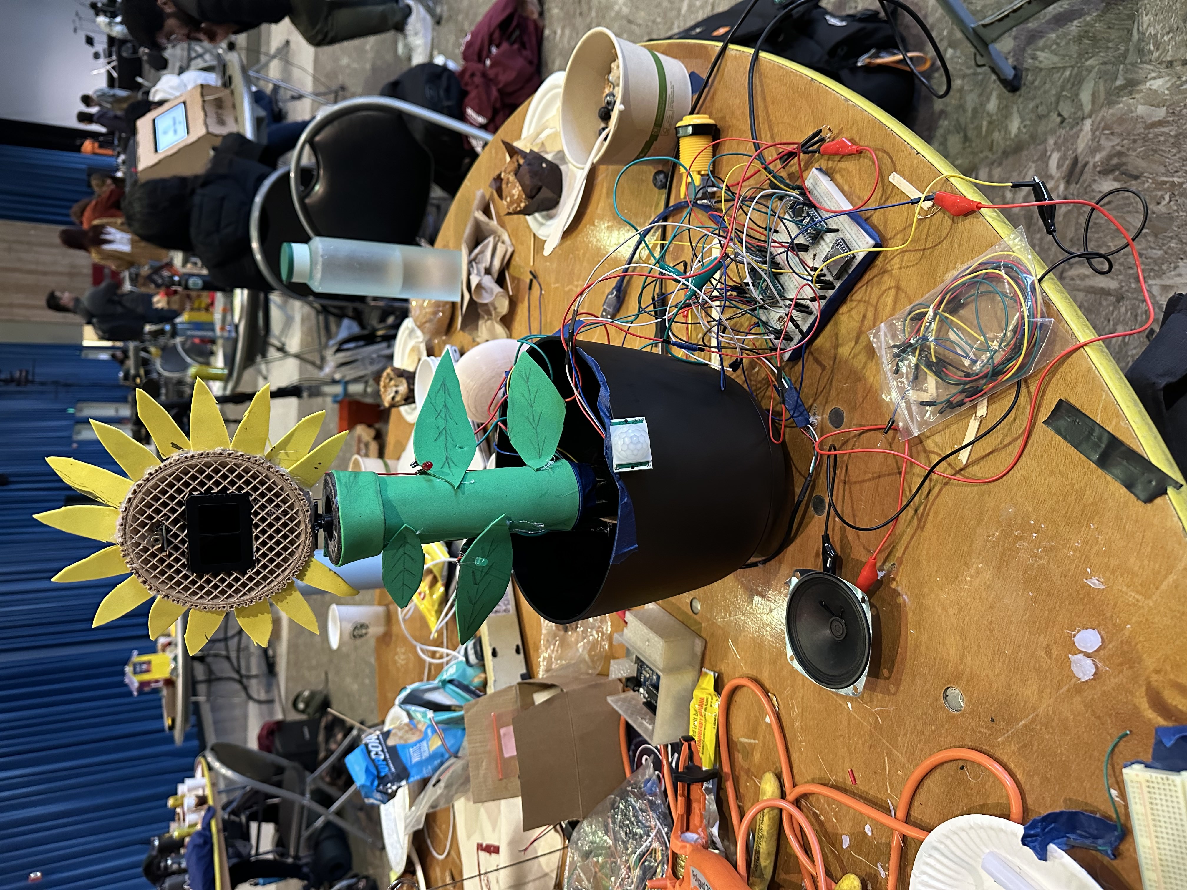 Red Light, Green Light (Sunflower Edition) | Devpost