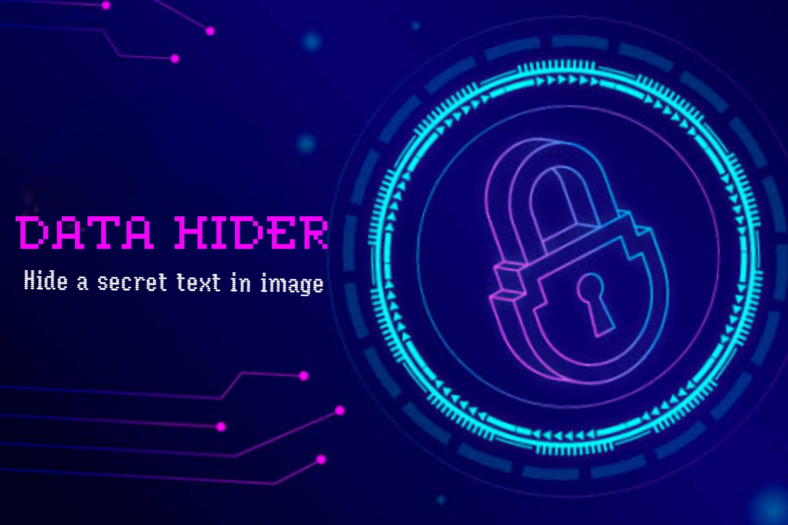 Data Hider | Devpost