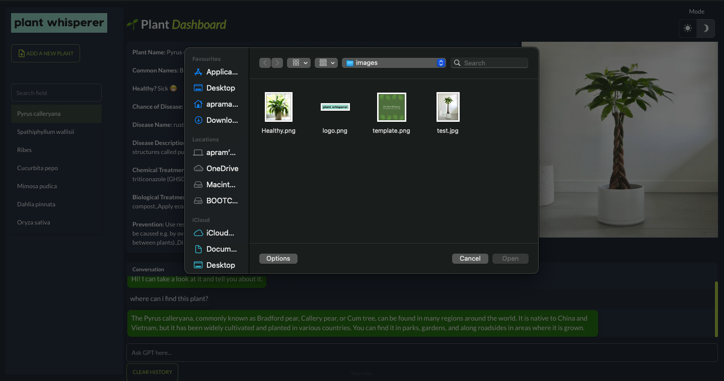 Plant Whisperer | Devpost