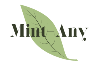 Mint-Any | Devpost
