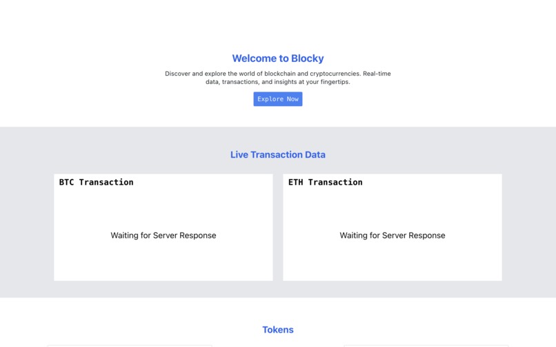 Blocky : Ultimate Blockchain Security Suite | Devpost