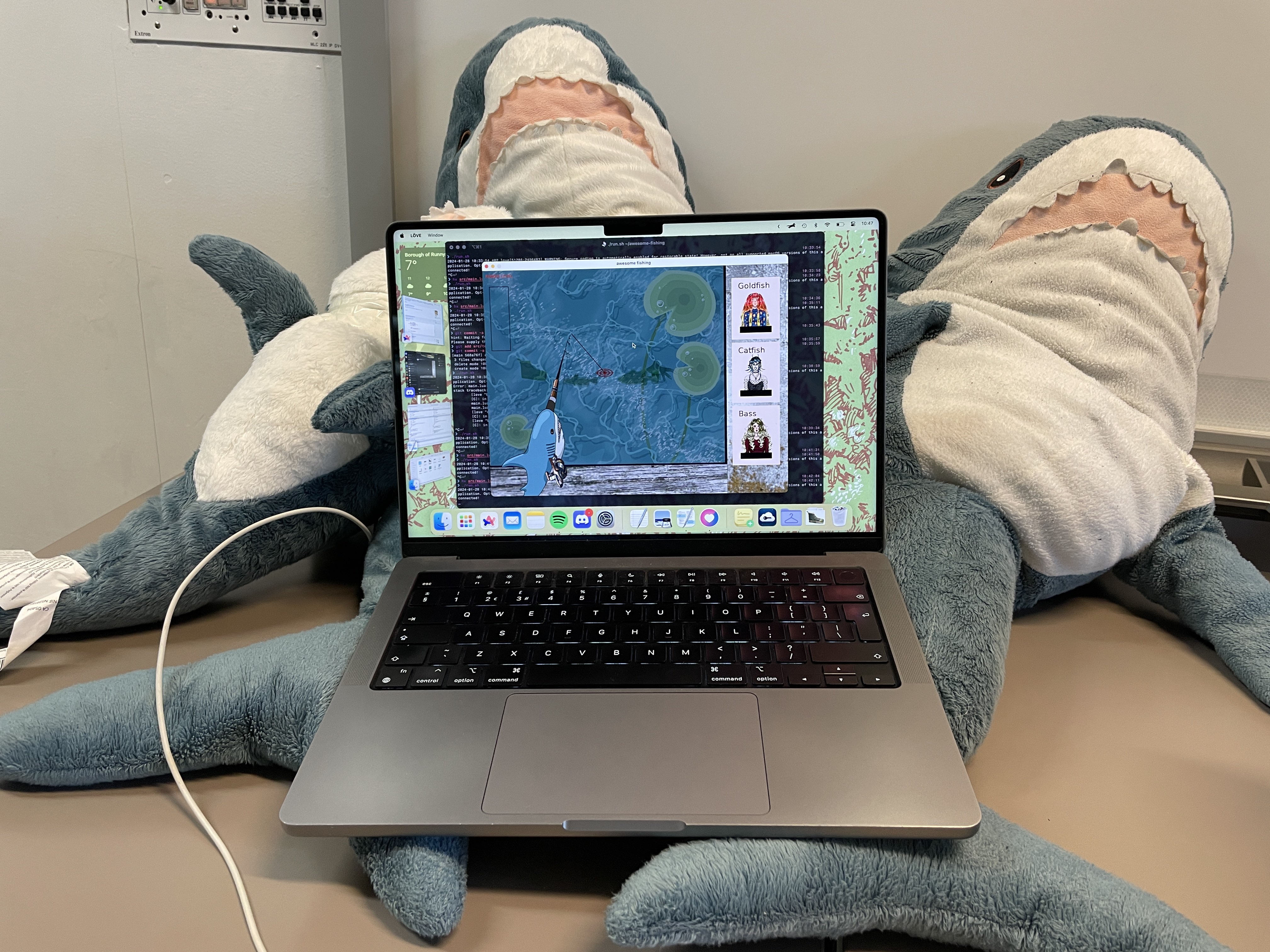 Awesome Blahaj Fishing for women | Devpost