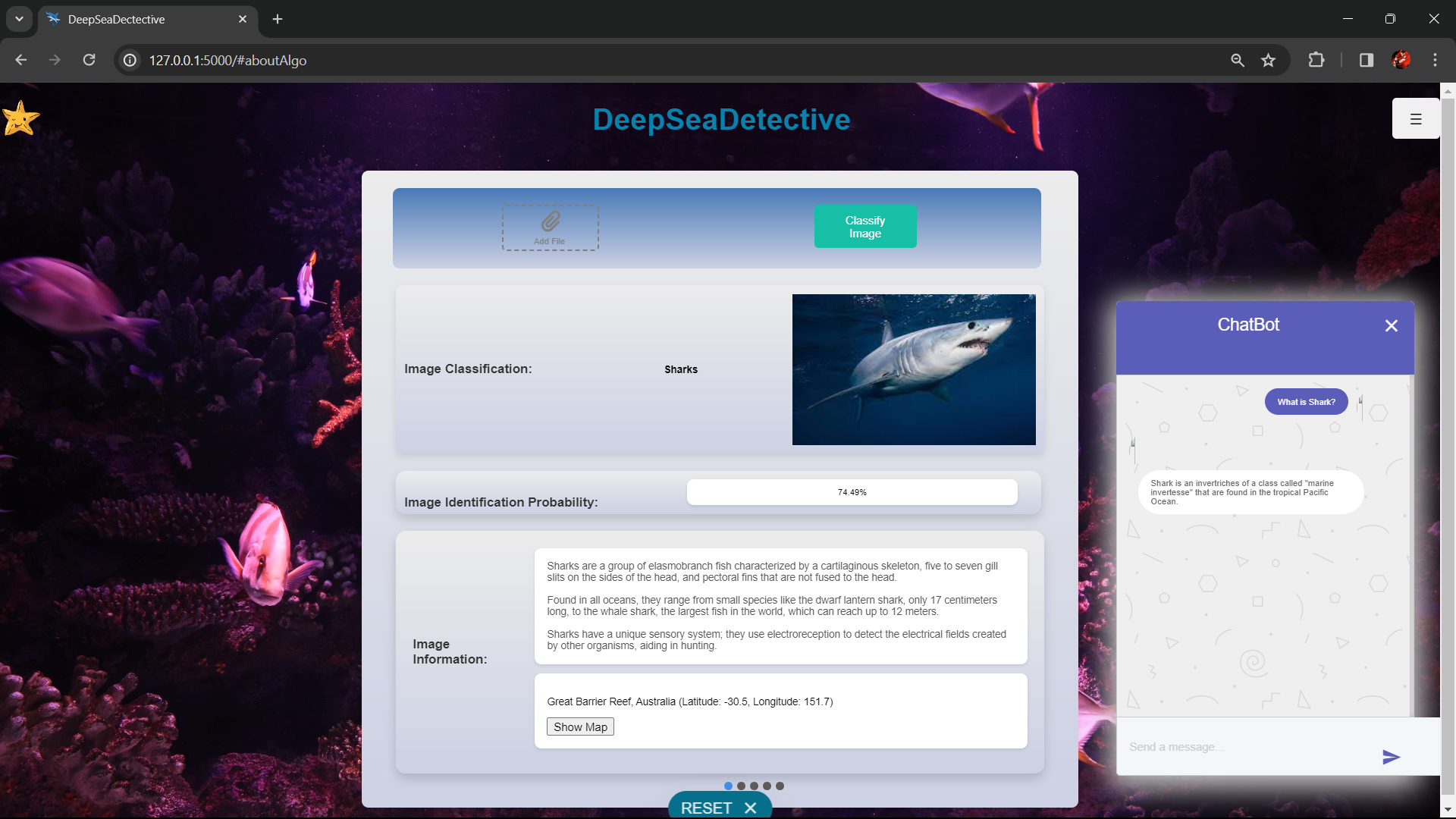 Deep Sea Detective | Devpost