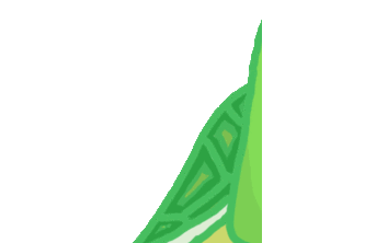 Turtle-kun | Devpost