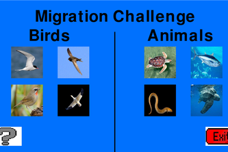 The Migration Challenge | Devpost