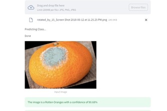 Rotten World | Devpost