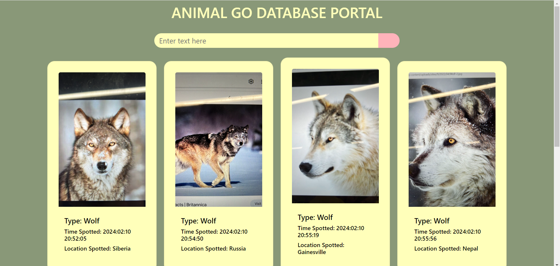Animal GO | Devpost