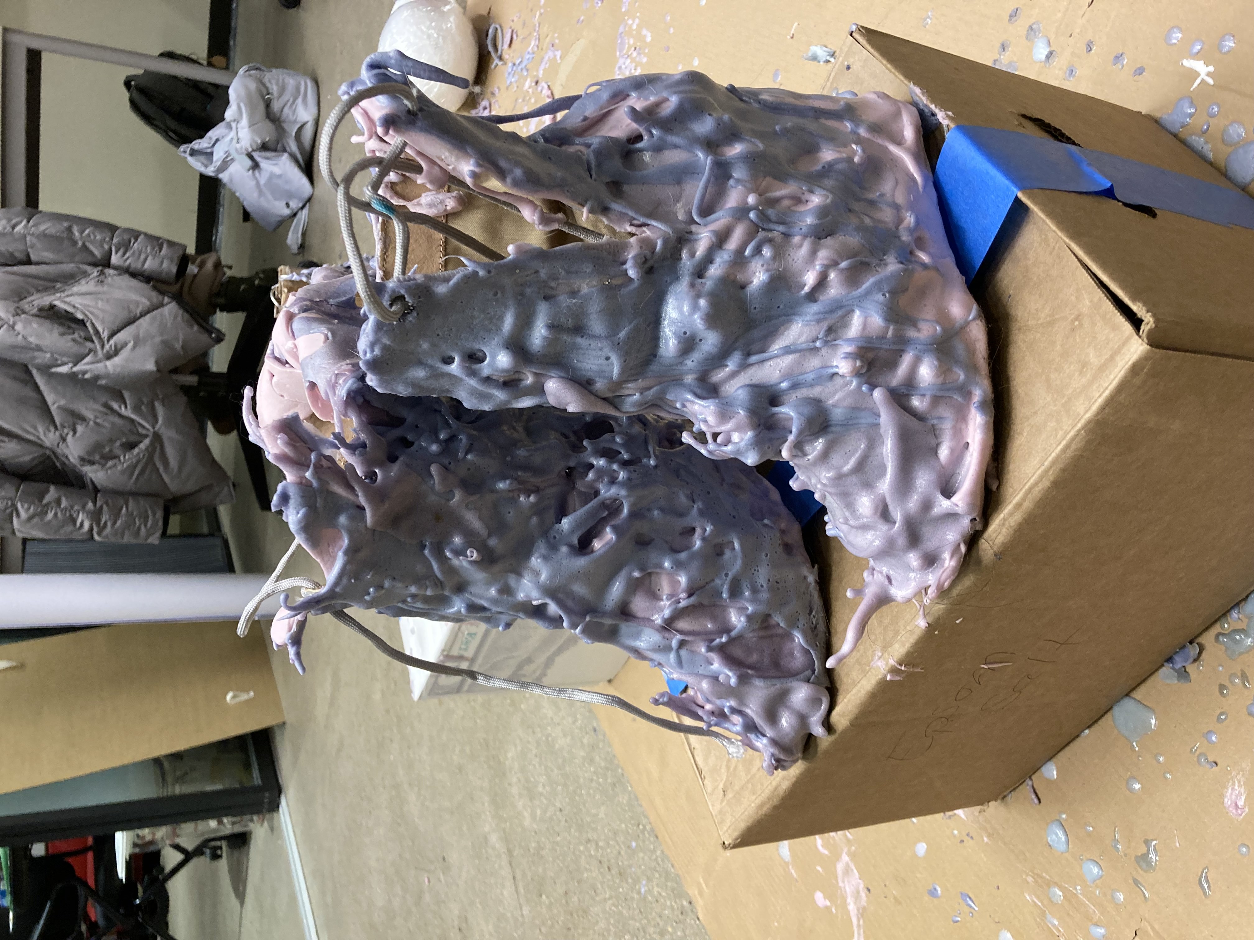 Future Foam; Food Waste to Fashion | Devpost