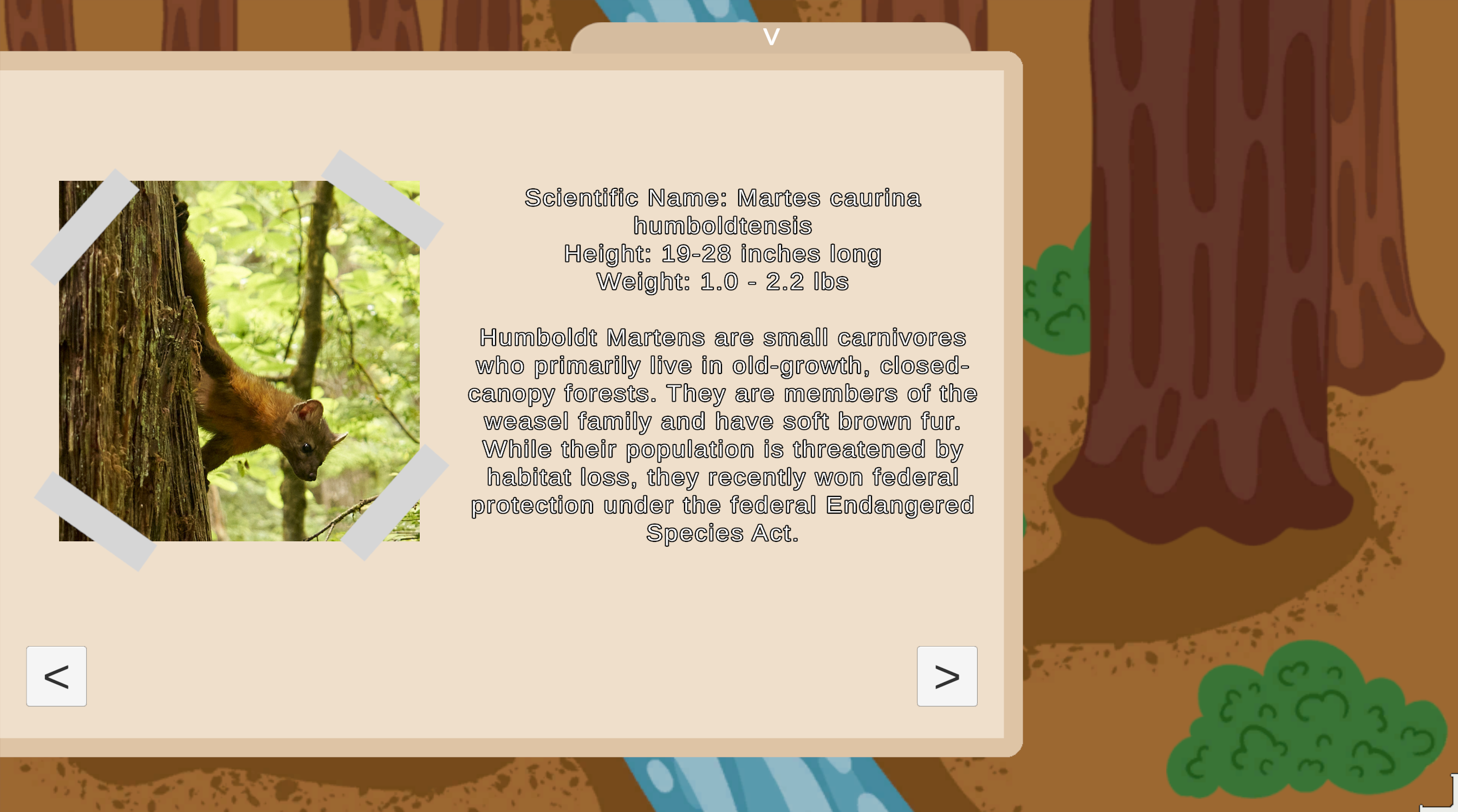 California Wildlife Adventure | Devpost