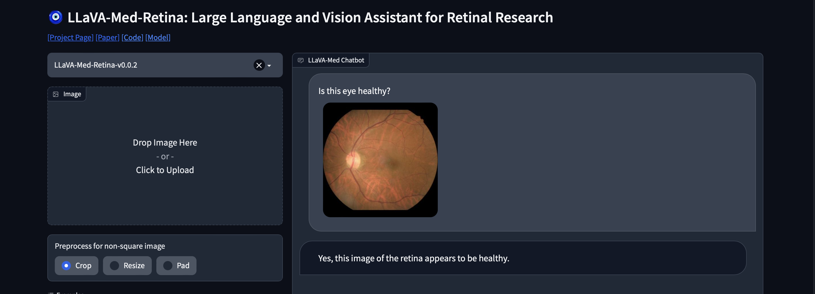 LLaVA-Med-Retina | Devpost