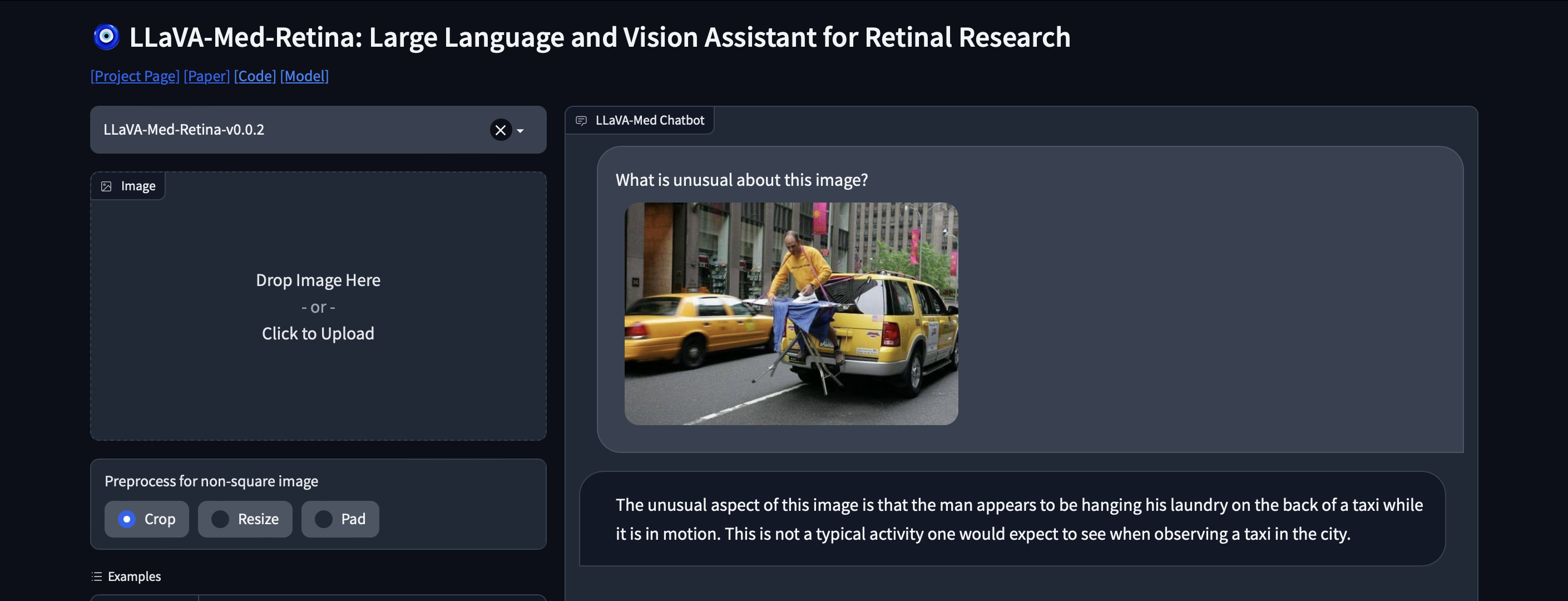 LLaVA-Med-Retina | Devpost
