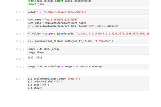 AI WholeBody Organ Segmentation | Devpost