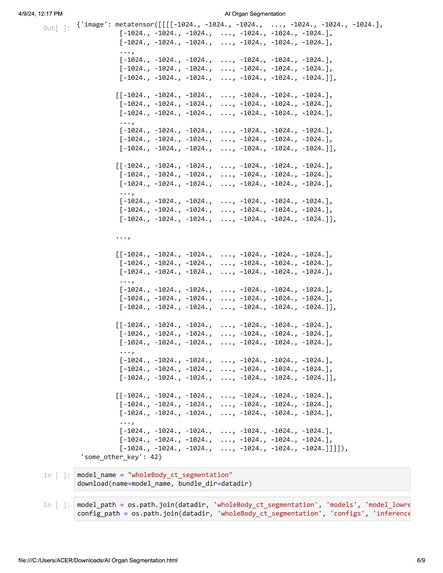 AI WholeBody Organ Segmentation | Devpost