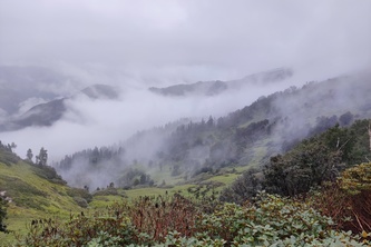 Phulara Ridge Trek Package | Devpost