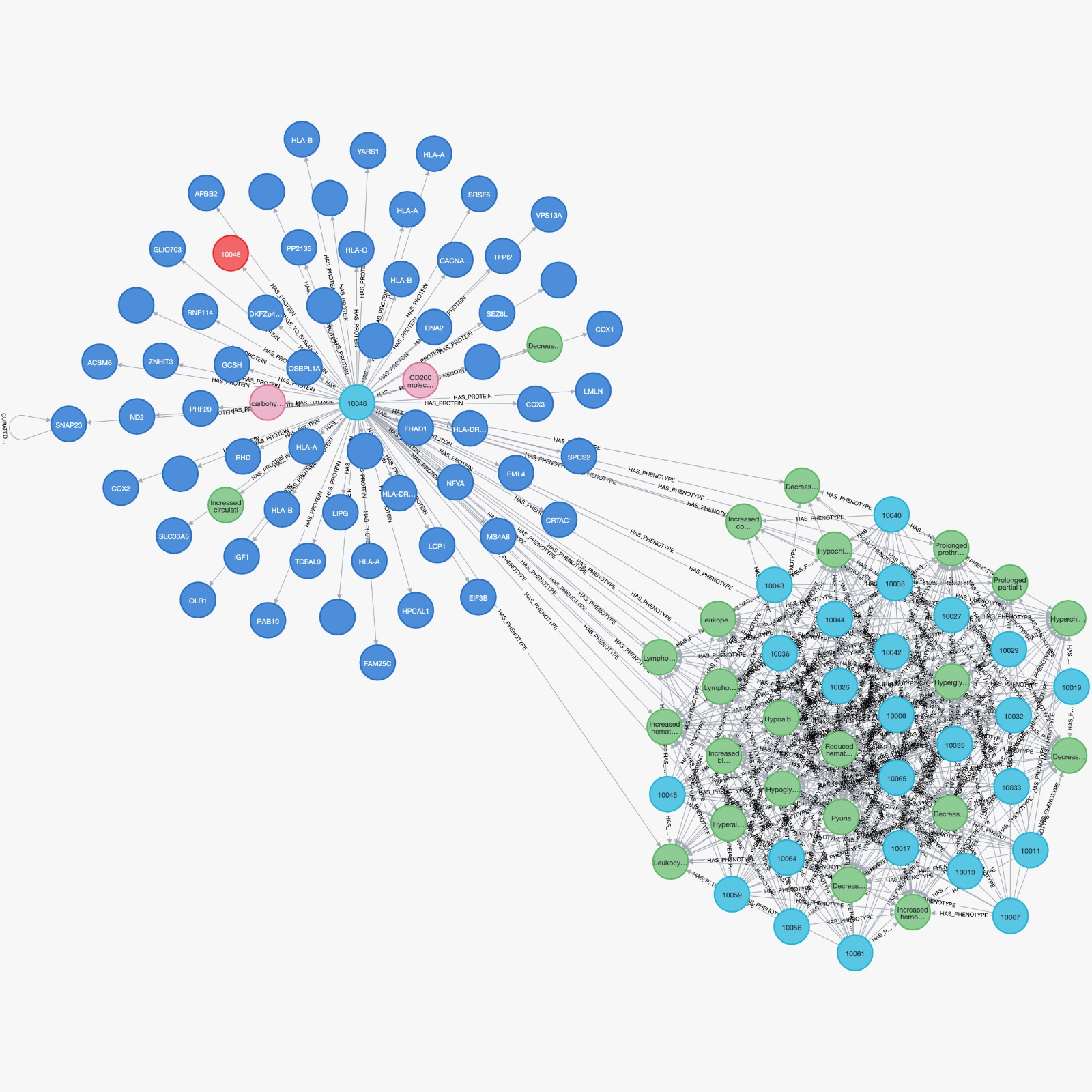The Dream Team | Devpost