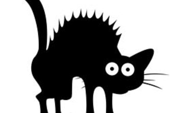 Scaredy Cat | Devpost