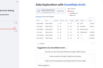 Data Exploration with Snowflake Arctic | Devpost