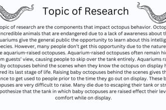 Octopus Behavioral Research | Devpost