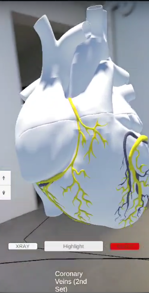 Top2Percent-Xperience_2024 | Devpost