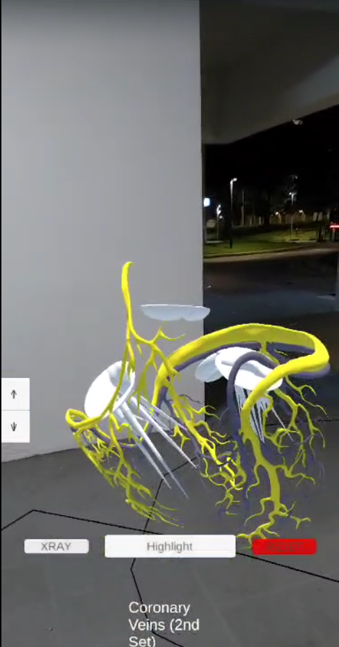 Top2Percent-Xperience_2024 | Devpost