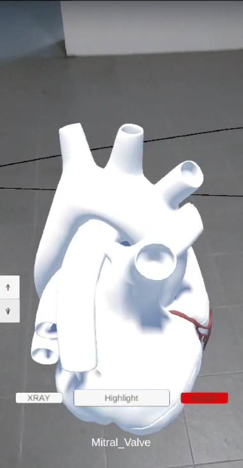 Top2Percent-Xperience_2024 | Devpost