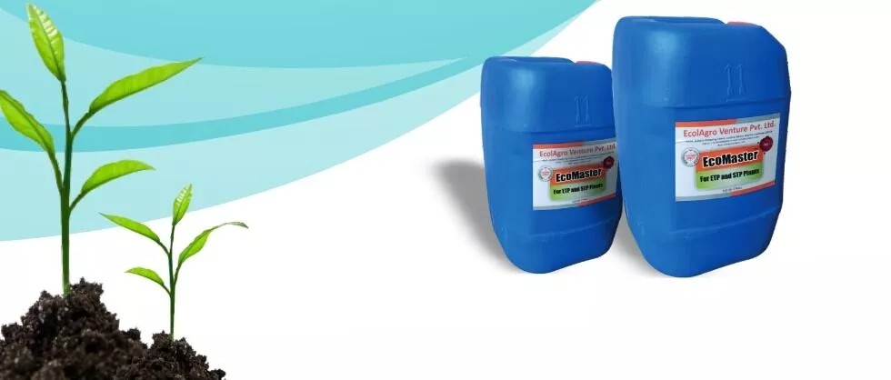 Composting culture | Devpost