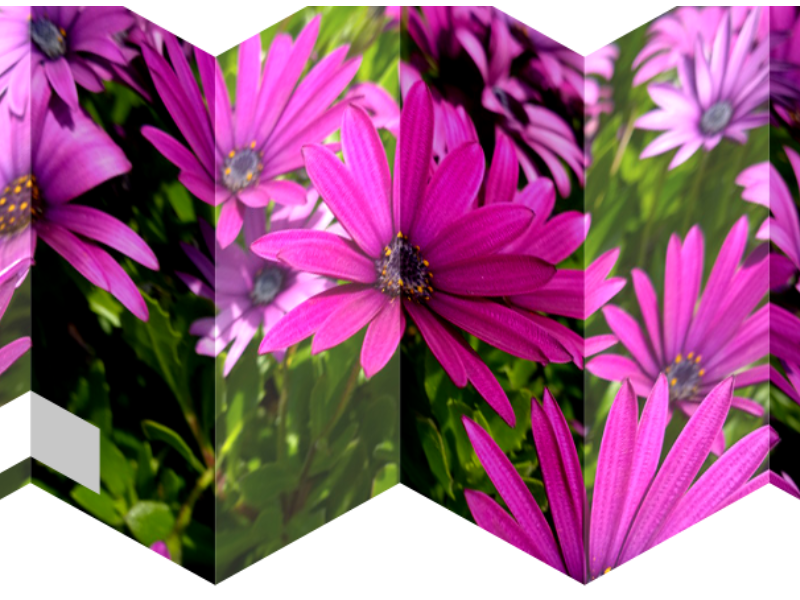 Foto FoldFX | Devpost