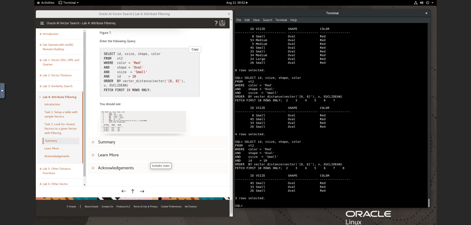 Oracle AI Vector Search | Devpost