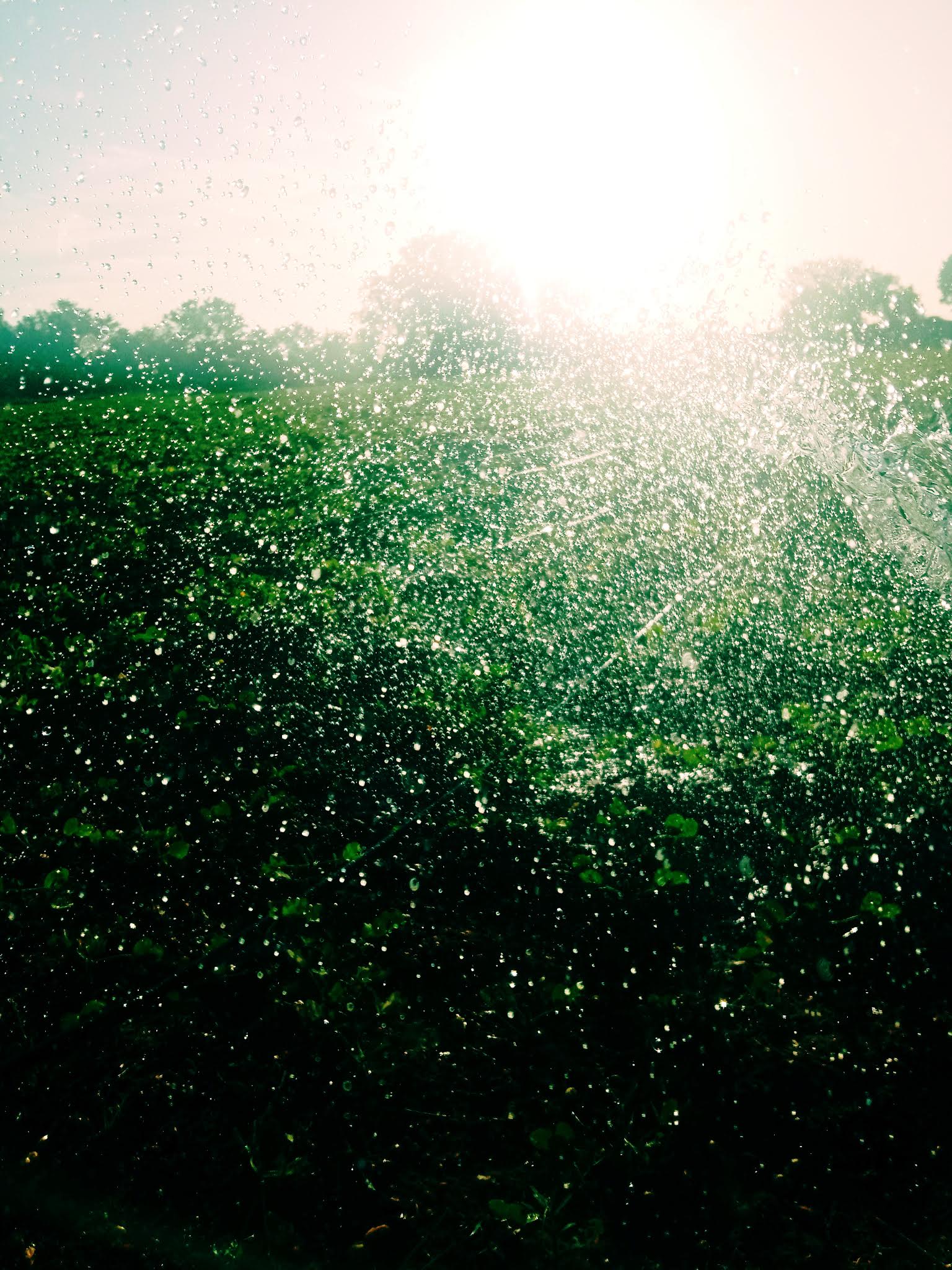 Watering nature | Devpost