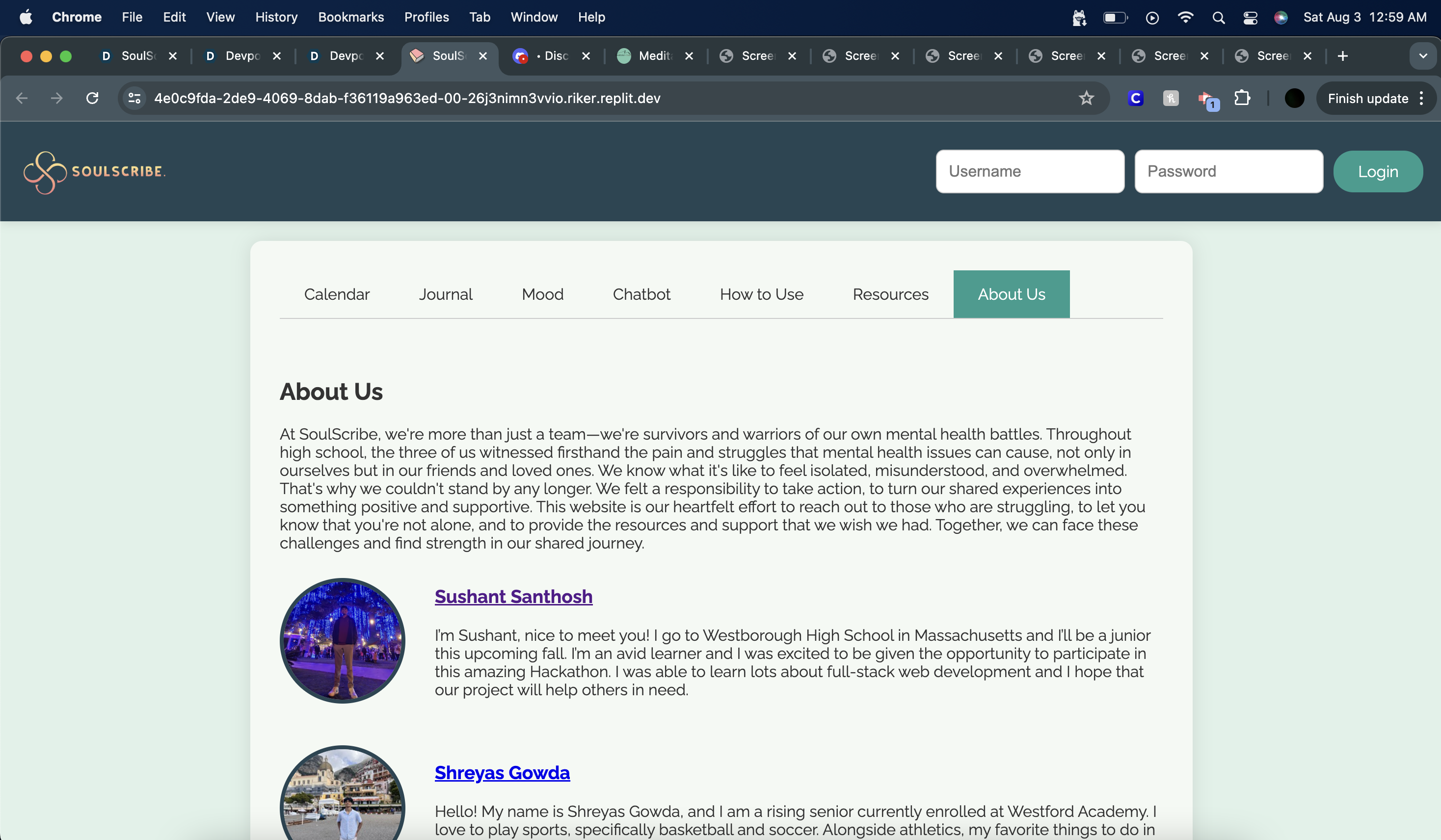 Soul Scribe | Devpost