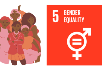 SDG goal 5: Gender based analysis of ICT access | Devpost