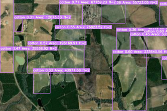 Cotton Field Detector | Devpost