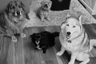 Smart Sewing Devpost