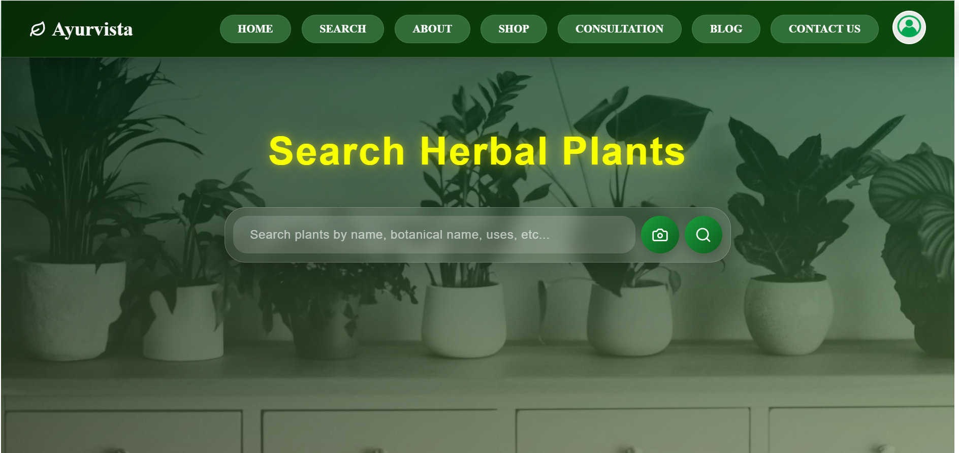 AyurVista: A Virtual Herbal Garden | Devpost