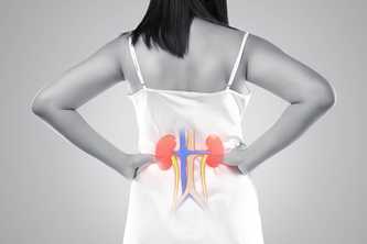 Kidney Pain Causes and Treatment | Devpost